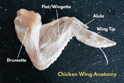 Wing Flats, Drums, and Tips: A Complete Chicken Wing Guide