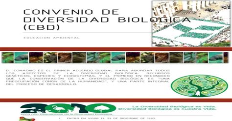 Convenio De Diversidad Biologica Cbd [pdf Document]