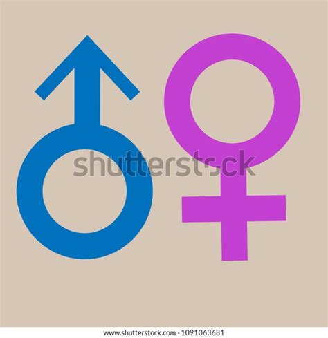 Male Female Sex Symbols Icons Designing Stock Vector Royalty Free Shutterstock