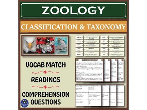Zoology Classification And Taxonomy Reading Comprehension And Sort Biology