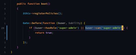 Internal Server Error While Using User Can Issue Spatie Laravel