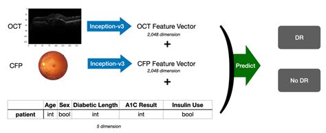Diagram Showing The Pipline Of This Experiment Download Scientific Diagram