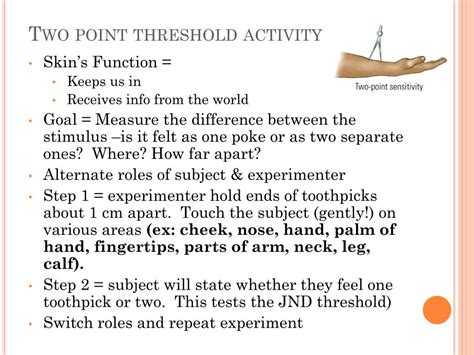 Ppt Absolute Threshold Toothpick Experiment Powerpoint Presentation Free Download Id 2488288