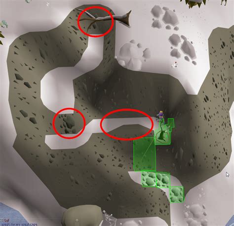 Three Agility Obstacles Not Highlighted · Issue 7107 · Runelite