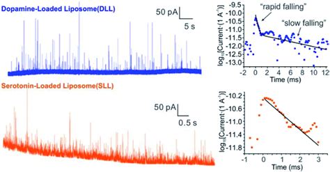 Traces For Viec Of Dll Blue Line And Sll Orange Line With A Typical