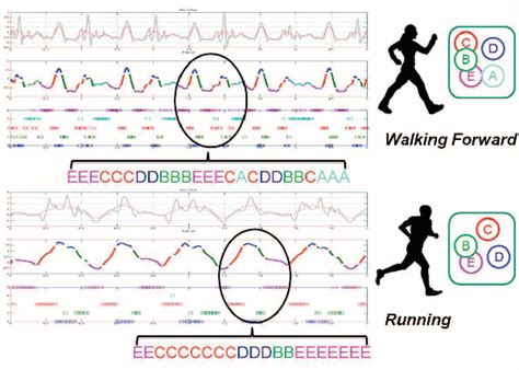 figure 1 from motion primitive based human activity recognition using a