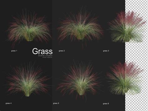 Premium Psd Various Types Of Grass Rendering