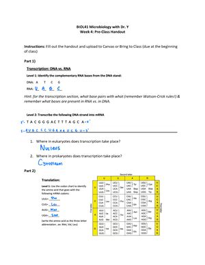 Pre Lab Quiz Pre Lab Quiz Due Oct At Pm Points Questions
