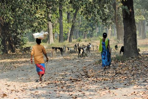 Mitigating Human Wildlife Conflicts Through Eba In Nepal Global Eba Fund
