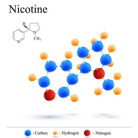 Структурная химическая формула и модель молекулы никотина Премиум векторы