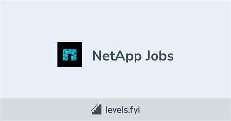 Senior Software Engineer Javap Netapp Levelsfyi