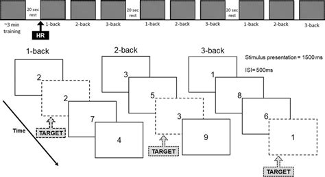 Schematic Of Working Memory N Back Tests That Will Be Administered