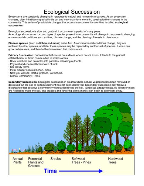Ecological Succession Before And After