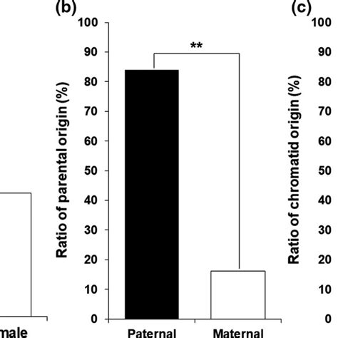 Genetic Features In Cmt1a Patients By De Novo 17p12 Duplication