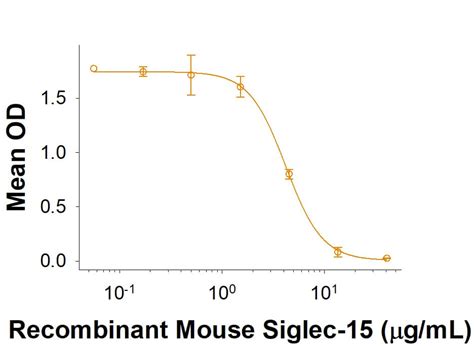 Siglec 15 Research Products Novus Biologicals
