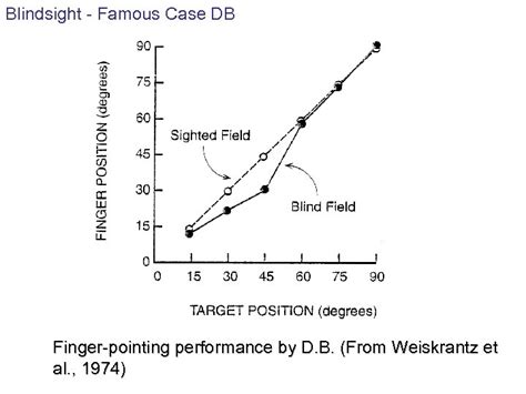 Lecture 7 Visual Perception Dr Roger Newport Hemianopia Visual