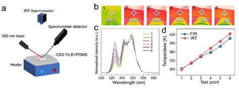 A Schematic Diagram Of Irt And Fir Technology B Measurement Download Scientific Diagram