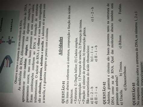Uracila Timina Ribose Fosfato Desoxirribose Qual Dessas Moléculas Está