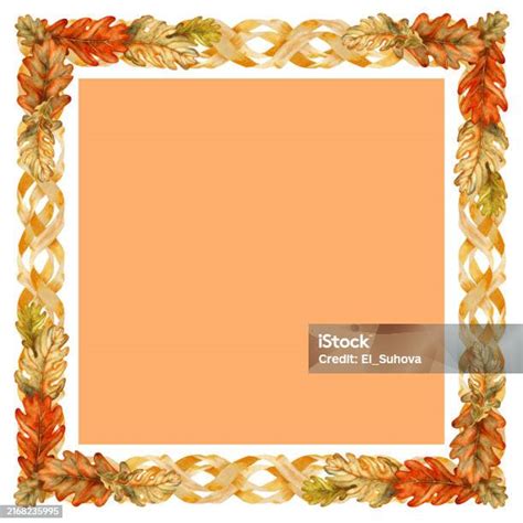 두루마리 종이와 가을 떡갈나무 잎으로 꼬인 프레임 수채화 그림 템플릿 손으로 그린 벽지 추수 축제 인증서 수상 라벨 메뉴 초대장을 위한 자연스러운 단풍 질감 0명에 대한