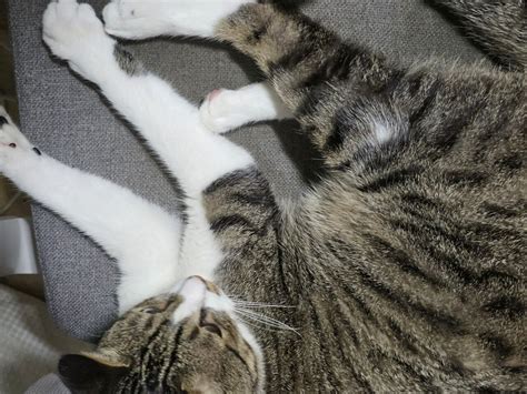 마지막 고등어 짤 오덕양성소 에펨코리아