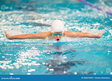 Butterfly Swimming Royalty Free Stock Image 13418434