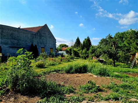 Swg Nordhausen Ausschreibung Kalte Gasse Bielen