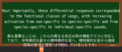 【英単語】functional Classesを徹底解説！意味、使い方、例文、読み方 おもしろい英文法