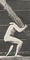 Category Nude Man Lifting A Log On Shoulder Wikimedia Commons