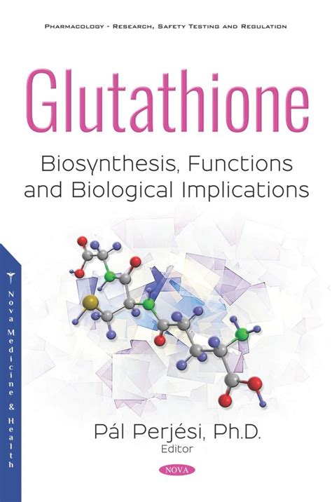 Glutathione Biosynthesis Functions And Biological Implications Nova