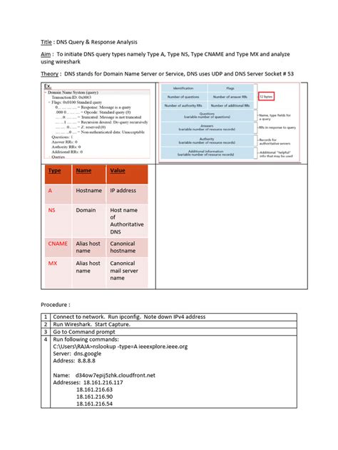 dns lab pdf