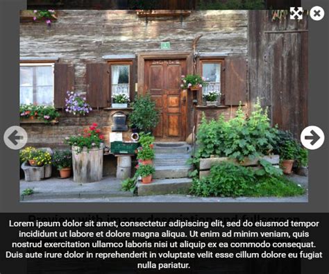 Angular 2 4 Image Gallery Plugin Ngx Gallery Angular Script