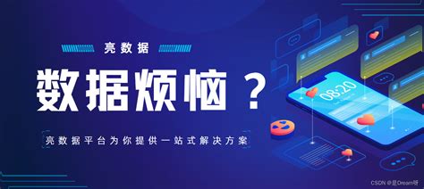 数据烦恼？亮数据平台为你提供一站式解决方案 Csdn博客