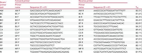 list of bacterial strain specific primer sequences and corresponding