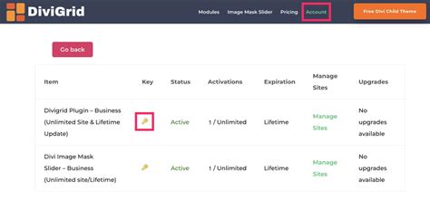 DiviGrid modules pour Divi Builder présentation tuto