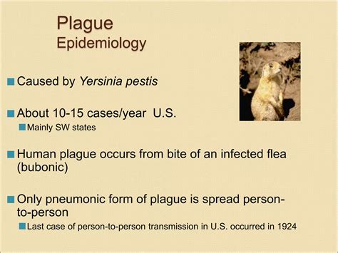 Plague Anthrax Ppt