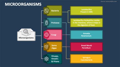 Microorganisms Powerpoint Presentation Slides Ppt Template