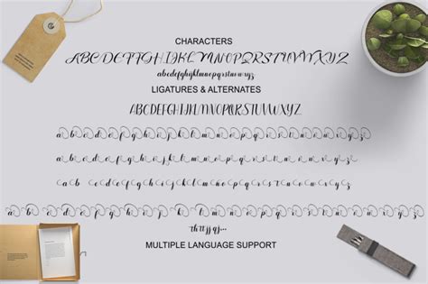 olivia script font · 1001 fonts