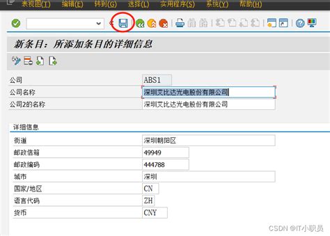 sap s4 fi后台详细配置教程 part1 （通用配置及基础架构篇） sap s4 fico配置清单 csdn博客