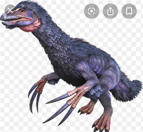 Best Way To Tame One Of These Guys Im A Level 34 And Kinda New To The Game I Know About Bolas