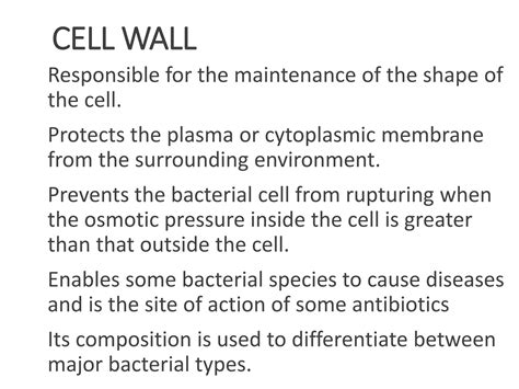 Anatomy Of Microbiology Presentation Slides Ppt
