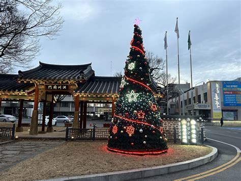 사진 불 밝힌 크리스마스트리 기쁘다 구주오셨네 오마이뉴스