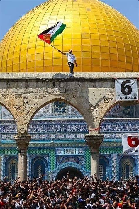 انا دمي فلسطيني