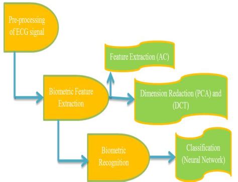 Figure 1 From Electrocardiogram Signals Recognition Using Neural Network Semantic Scholar