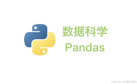 使用python对大规模训练数据处理python数据训练 Csdn博客
