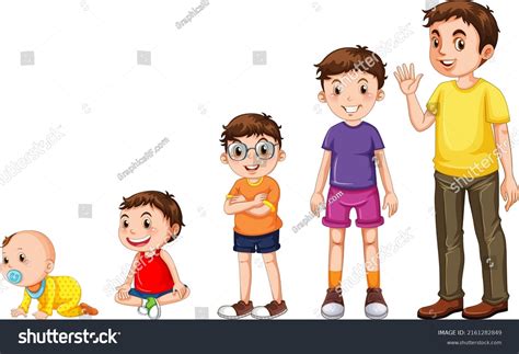 인간의 성장 삽화 단계 스톡 벡터 로열티 프리 2161282849 Shutterstock