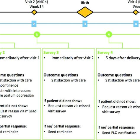 Patient Appointment And Data Flow Diagram For Women Enrolled In The Download Scientific Diagram