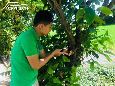 phƯƠng phÁp chỐng trỘm bẰng tia laze vÀ tia quang ĐiỆn hiỆu quẢ