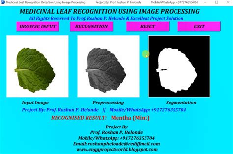 Medicinal Leaf Recognition Using Image Processing Python Project Source Code Ieee Based