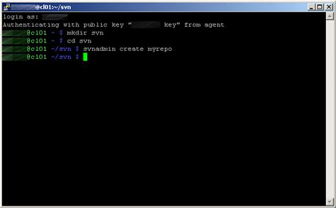Setup Tortoise Svn Dotroll Knowledge Base
