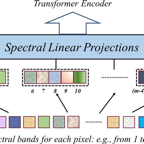 Comparison Of Different Spectral Embedding Modules A Classic Download Scientific Diagram